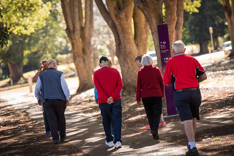 Walking Network Plans | Have Your Say